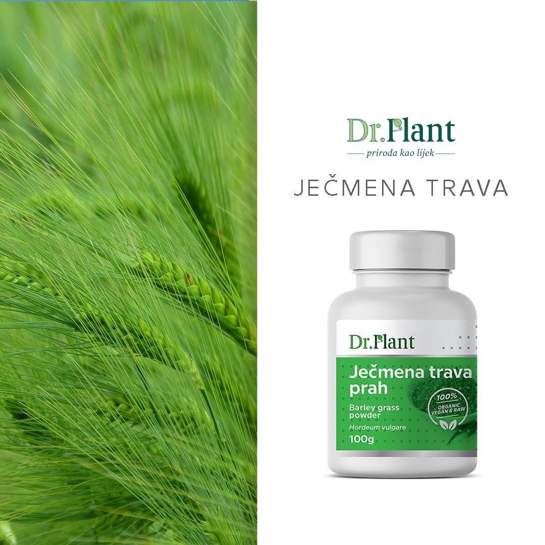 DR.PLANT Bio Ječmena trava prah - Cvit likarije